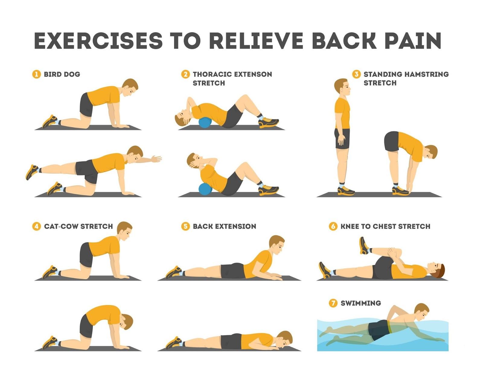 Home Exercises That Will Help with Back Pain | ShoreLife Chiropractic ...